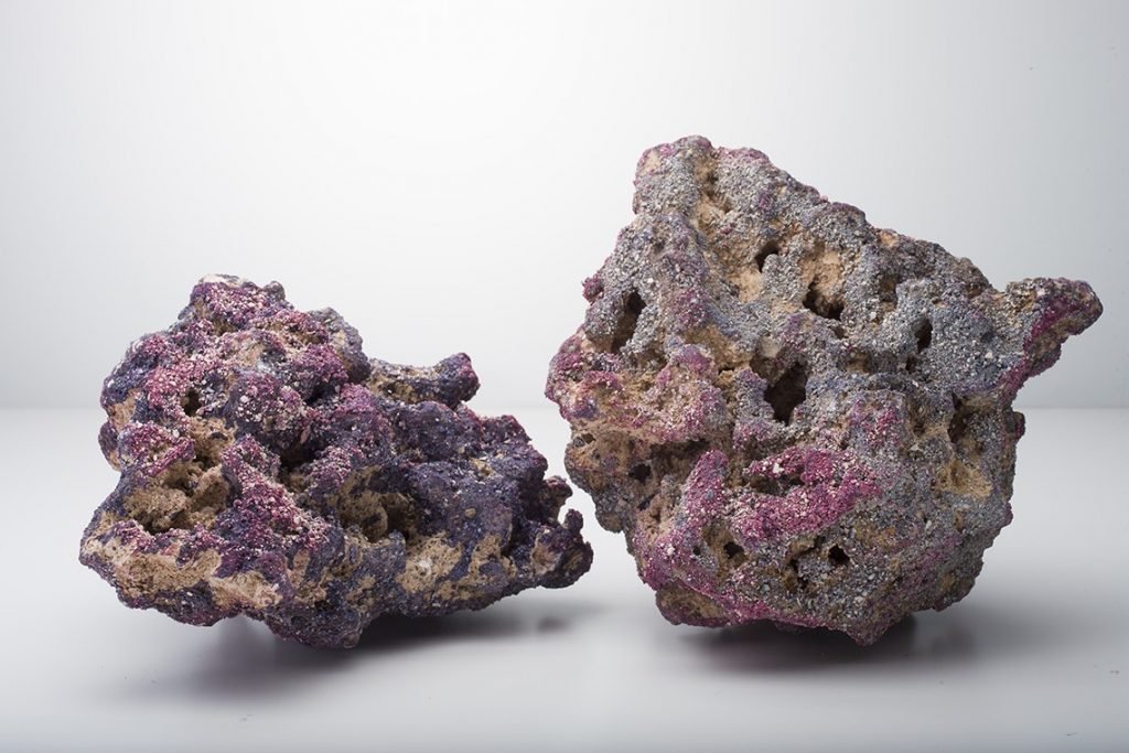 CaribSea Life Rock | Marine Life